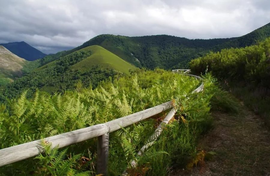 11 bosques en España por los que te recomendamos andar ...